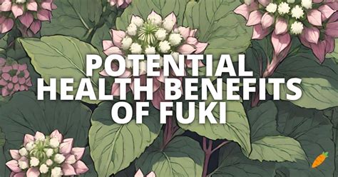 Potential Health Benefits Of Fuki