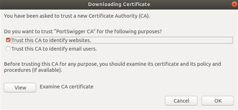 Burpsuite In Ethical Hacking Tutorial Practical Guide Acte Updated
