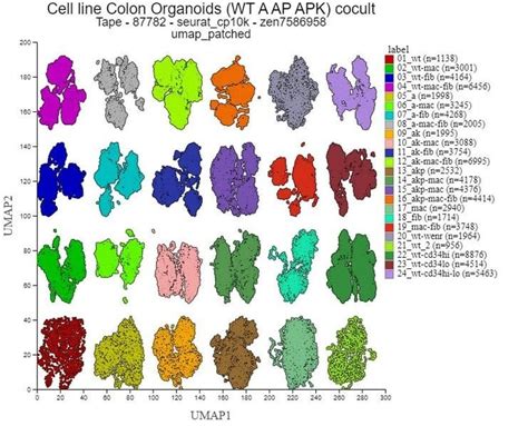 Single Cell Data Set Of 32 Breastcancer Cell Lines Rr2platform