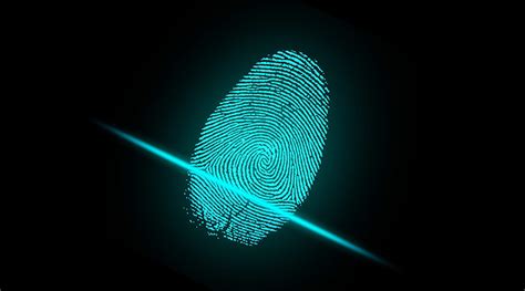 Best Biometric SDK For Accurate And Reliable Identity Management