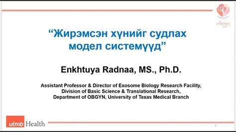 Зочин илтгэл 1 Доктор Р Энхтуяа Youtube