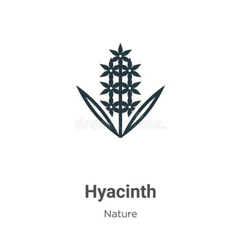 Hyacinth Vector Icon On White Background Flat Vector Hyacinth Icon Symbol Sign From Modern