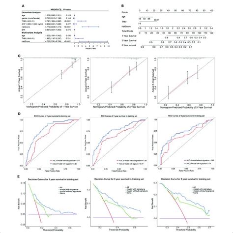 A Forest Plot For Univariate Cox Regression Analysis And