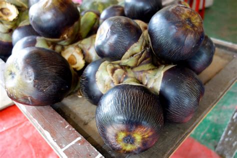 Pasture Living Coconut Oil For Beautiful Skin