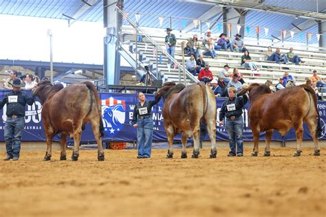 Class 53 Next Level Images