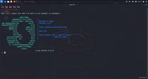 python渗透测试——一、数据包的编辑工具——scapy csdn博客