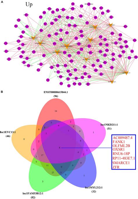 Frontiers Microarray Expression Profiles Of LncRNAs And MRNAs In Postoperative Cognitive