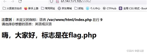 文件包含漏洞 练习 在txt中怎么获取flag csdn博客