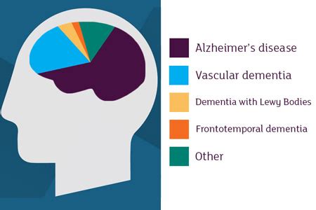 Types Of Dementia You Should Be Aware Of Pearl Dementia Support Network