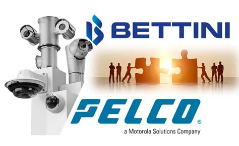 Chi è Bettini Bettini