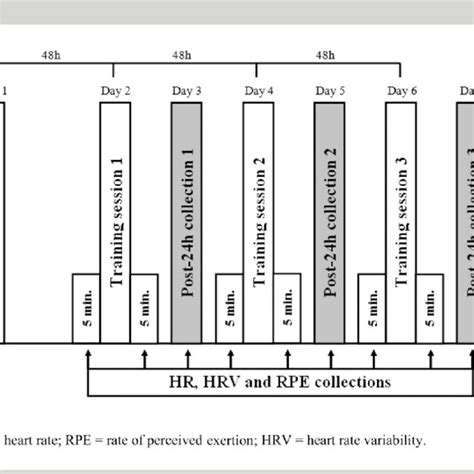 Experimental Design Hr Heart Rate Rpe Rate Of Perceived Exertion Download Scientific