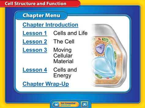 Th Grade Chapter Cell Structure And Function
