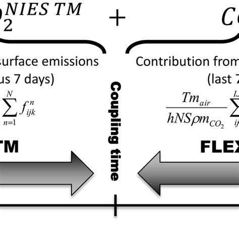 The Computational Scheme Of The Coupled Model Download Scientific