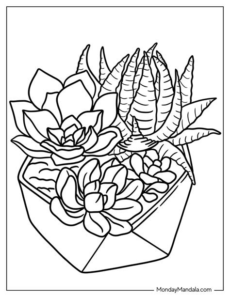 Free Succulent Coloring Pages