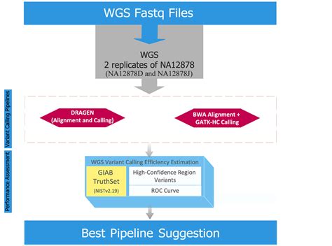 Ultra Fast Next Generation Human Genome Sequencing Data Processing Using Dragentm Bio It