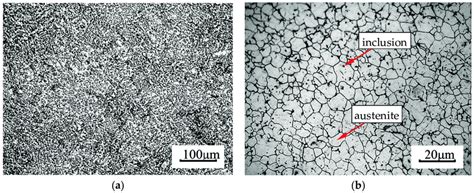 Metallographic Microstructures Of The Valve Stem A 100× B 500× Download Scientific Diagram