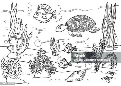 어린이 색칠하기 책 해저 물고기 조류 산호 거북이 일련의 그림 0명에 대한 스톡 벡터 아트 및 기타 이미지 0명 교육 귀여운 Istock