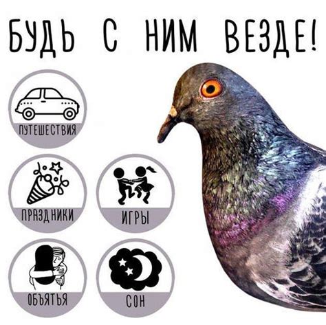 Мягкая игрушка антистресс Голубь Валера с батоном 30 см (ID#1699679537 ...