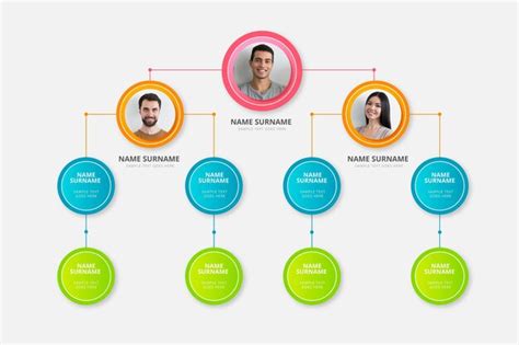 그라디언트 조직도 Infographic 무료 벡터