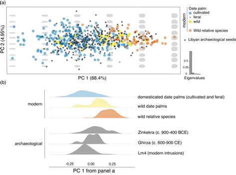 Seed Shape Analysis A Principal Component Analysis Pca Carried Out Download Scientific