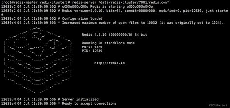 【redis】生产级部署 本地项目部署需要的软硬件 csdn博客