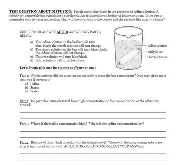 Diffusion Osmosis Intro Mini Lab By Hillary Clayton TPT