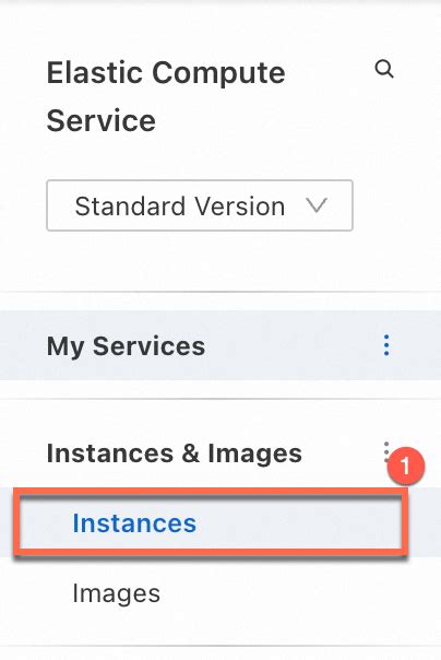 Connect To An Instance Without Internet Connection By Using The Port
