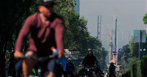 ¿cuáles Son Los Barrios Mágicos De La Cdmx Y Cómo Llegar A Ellos En