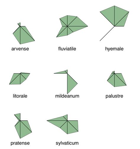 71 How To Draw The Multivariate Data Statistics Libretexts