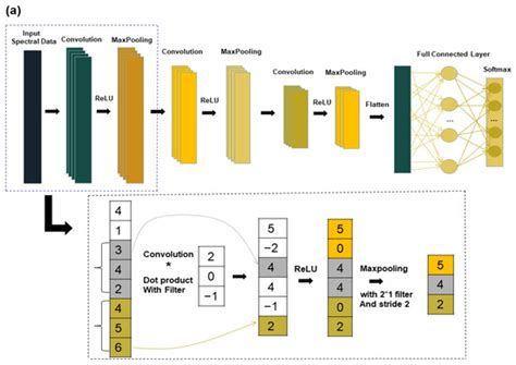 Feasibility Study Of Combining Hyperspectral Imaging With Deep Learning For Chestnut Quality