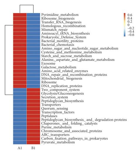 Functional Gene Prediction A B Prediction Heatmap Of Functional