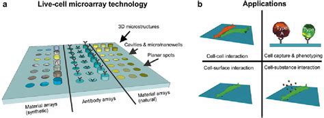 Figure 1 From Chapter 19 Cell Microarrays For Biomedical Applications