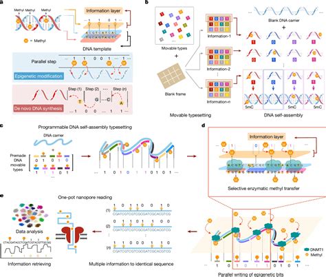 This Innovative Method Encodes A Phenomenal Amount Of Data In Dna 🧬