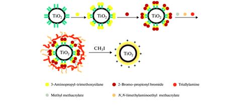 Scheme For Preparing Titanium Dioxide Particles Modified By Download Scientific Diagram