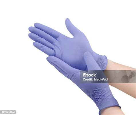 손으로 흰색 배경에 고립 된 두 개의 보라색 수술 의료 장갑 고무 장갑 제조 인간의 손은 라텍스 장갑을 착용하고 있습니다 의사