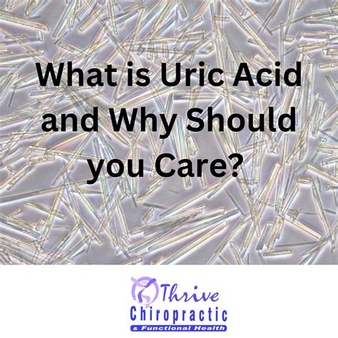 What Is Uric Acid And Why Should You Care About It