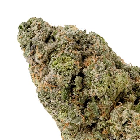 Buy Vibrant Cannabis Twizzle Dance Best Deals In Canada Xpressgrass