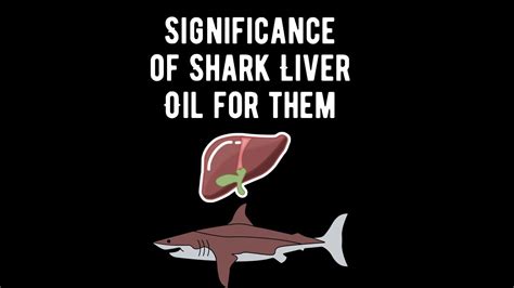 8 Shark Diseases Health Challenges In The Depths Shark Truth