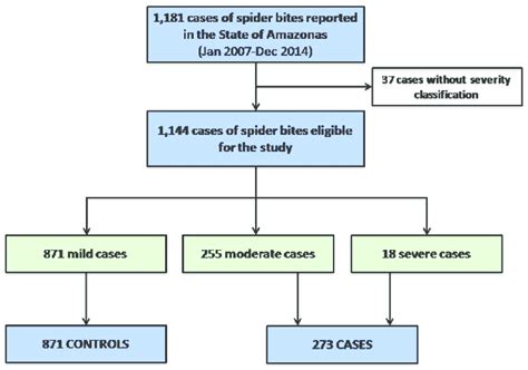 Flow Chart Of Cases And Control Selection Selection Of Cases And Download Scientific Diagram