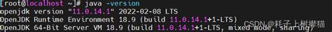 flink 安装以及可视化界面的简单使用 flink submit new job csdn博客