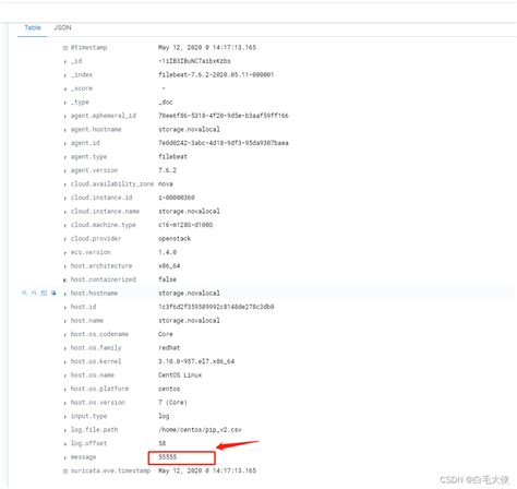 filebeat将csv导入es尝试 filebeat csv csdn博客