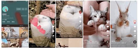 推荐两个高仿抖音 Github 开源项目（ Ios 和 Android） 知乎