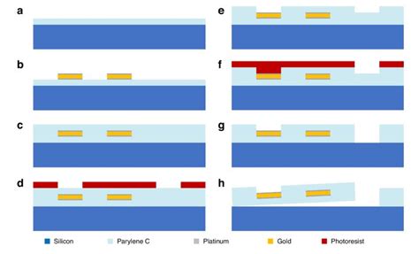 Fully Flexible Implantable Neural Probes For Electrophysiology Recording And Controlled