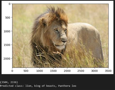 Classifying Images With Pre Trained Classifier Models Kishan S Site