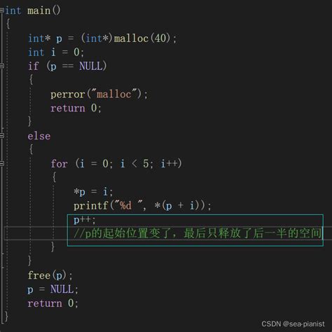 动态内存管理 Csdn博客