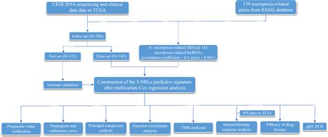 Flow Diagram Of The Investigation Download Scientific Diagram