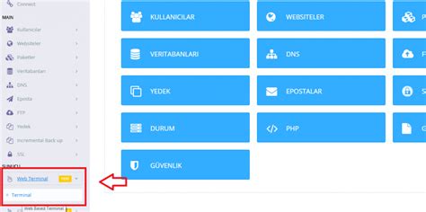 Cyberpanel Webterminal Nedir Pendc Blog Sayfası