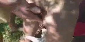 Tobys Garden Sex Swing Tnaflix Com