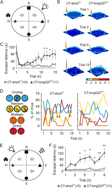 Ct Longq27 Pc Mice Display Cognitive Deficits In The Barnes Maze With Download Scientific