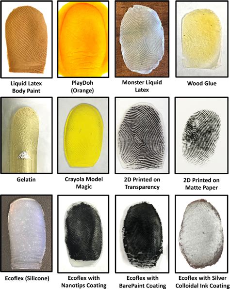 Figure 1 From Fingerprint Spoof Buster Use Of Minutiae Centered